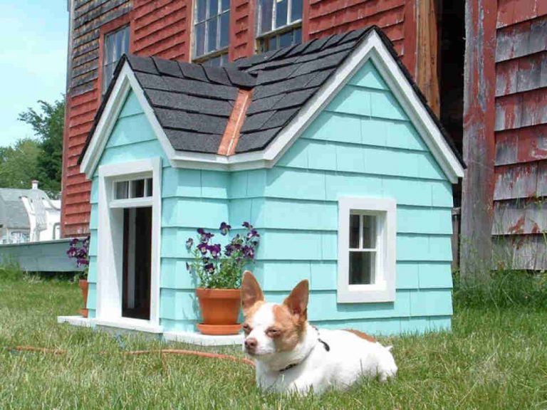 10+ Amazing Creative Dog Houses - Lizizcon