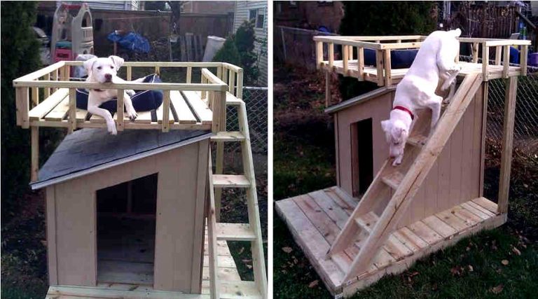 10+ Amazing Creative Dog Houses - Lizizcon